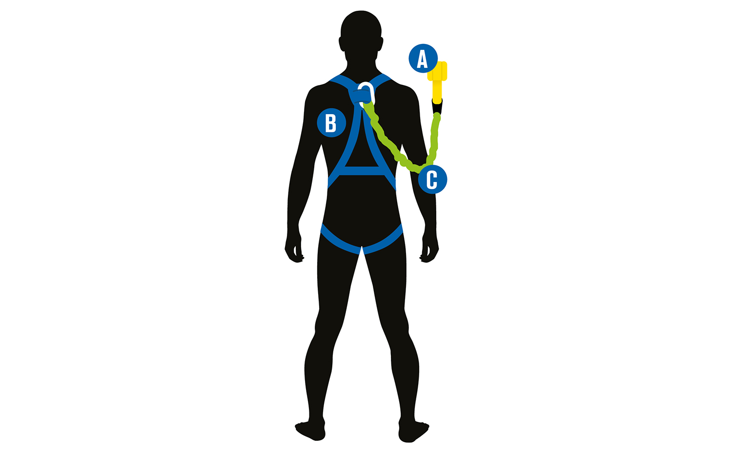 Personal fall protection and size guide