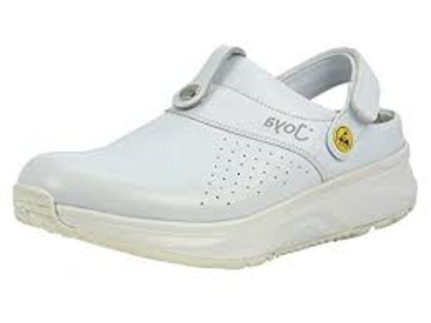 Joya IQ-ESD Klogg | Sverre W. Monsen